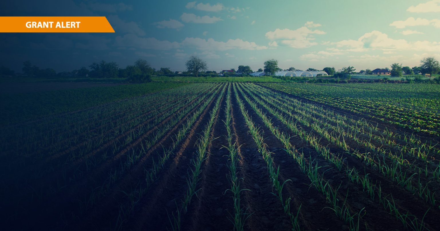 Farming Innovation Programme: Small R&D Partnership Projects