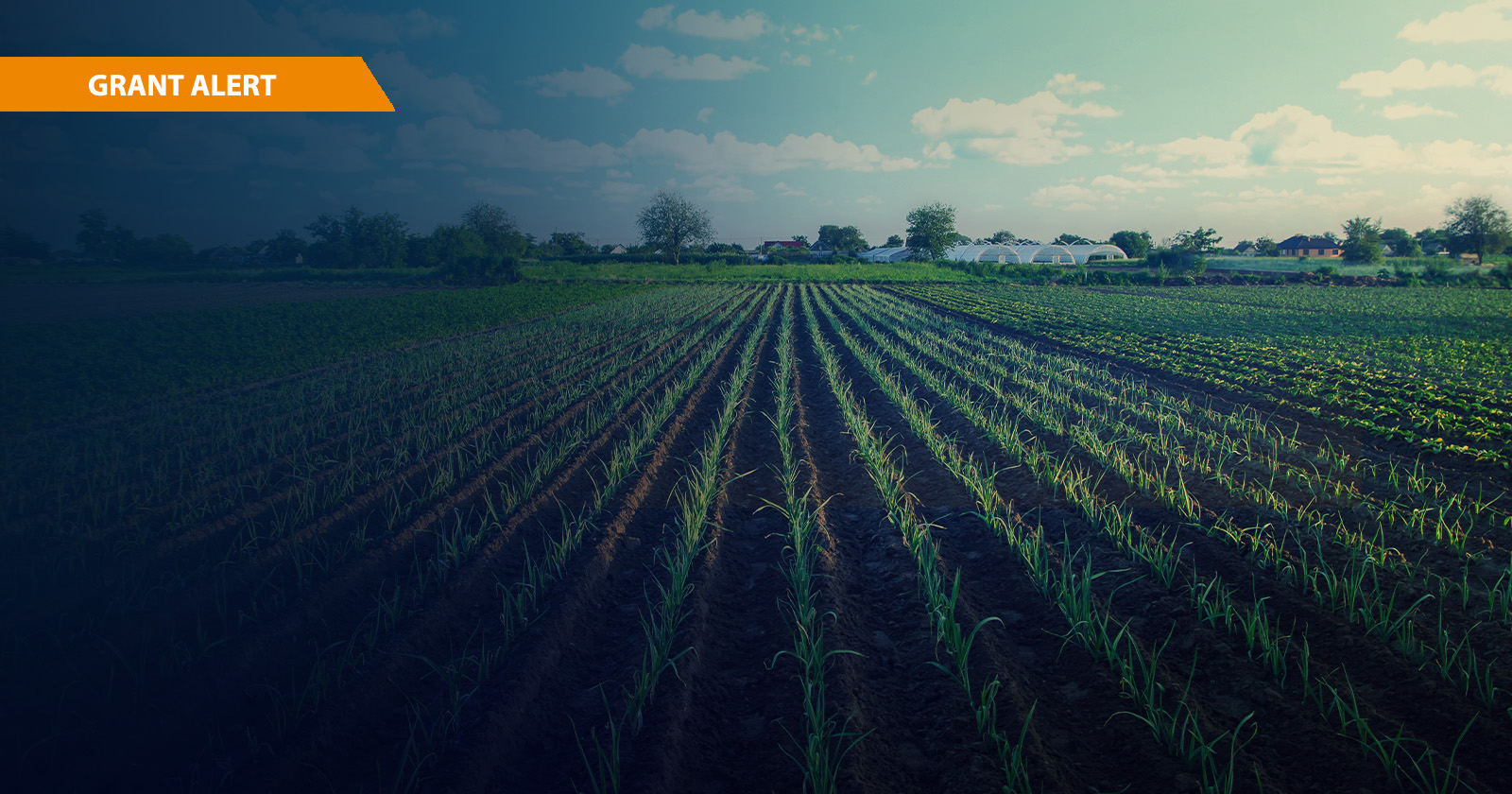 Defra Farming Innovation Investor Partnership